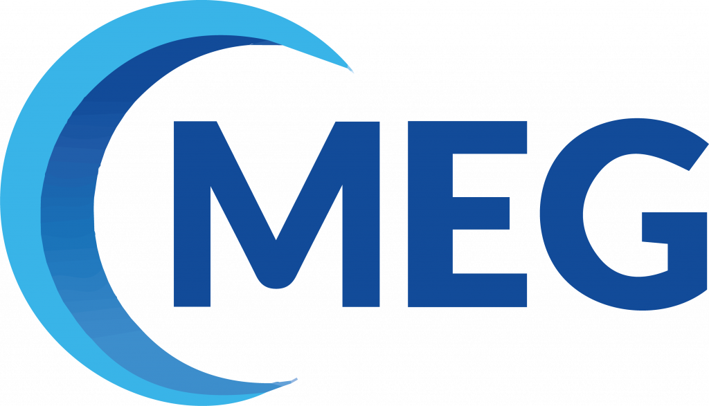 MEG – ALG Solutions